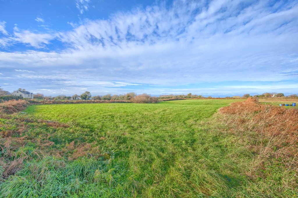 Le Marais Field, Route De Pleinmont, Torteval - local market to buy in ...