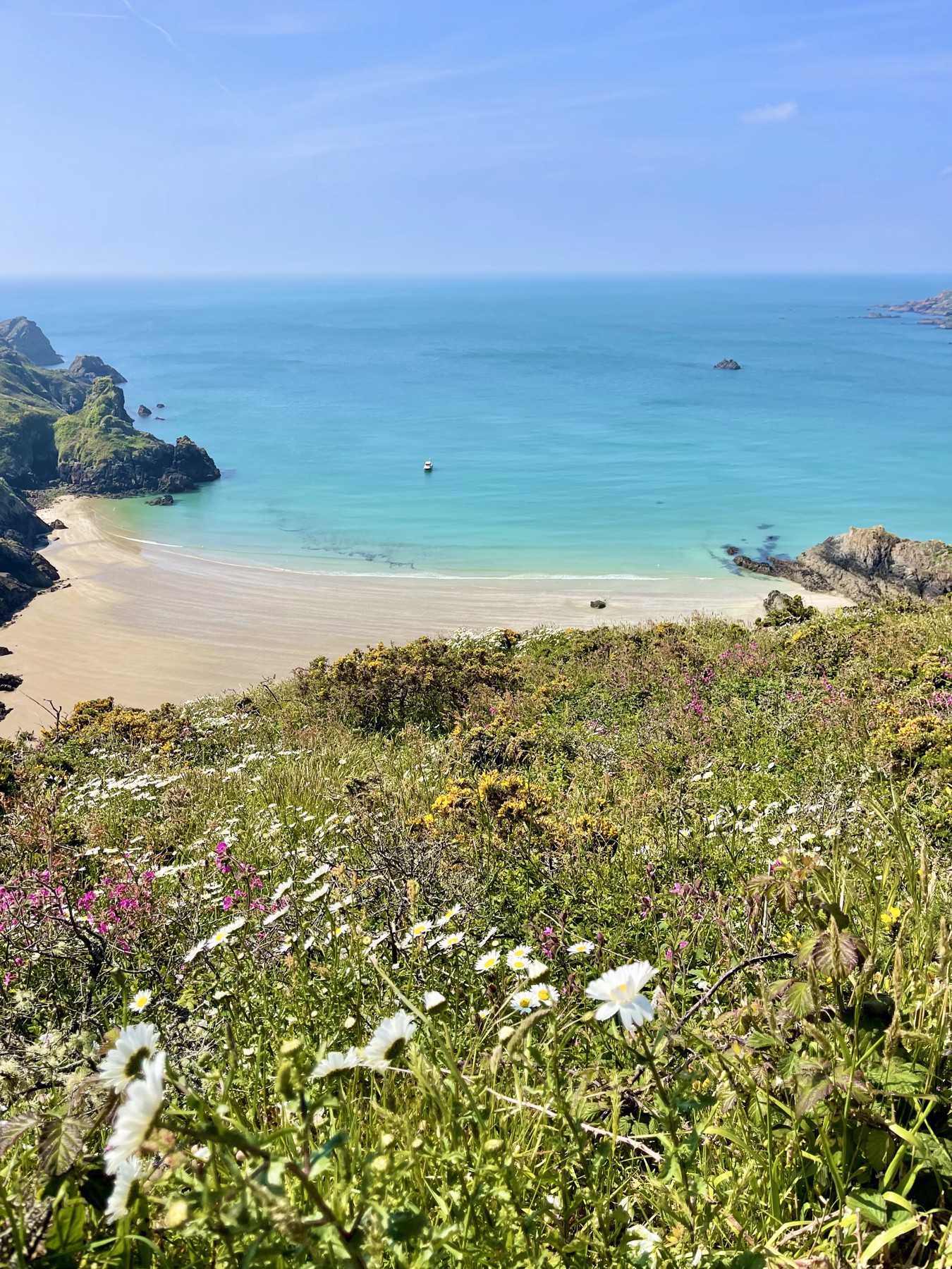 Guernsey Weather Fox forecast for 2024-05-08 - brought to you by Seeker ...