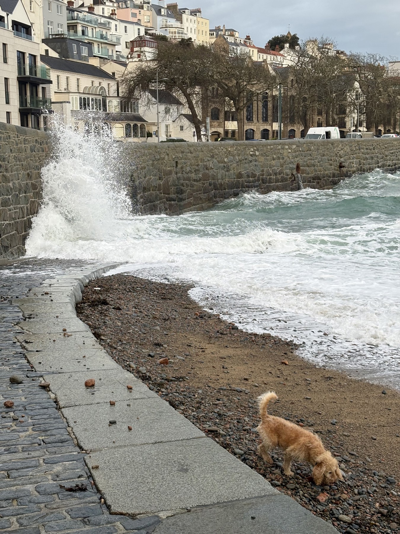 Guernsey Weather Fox forecast for 2026-01-21 - brought to you by Seeker ...