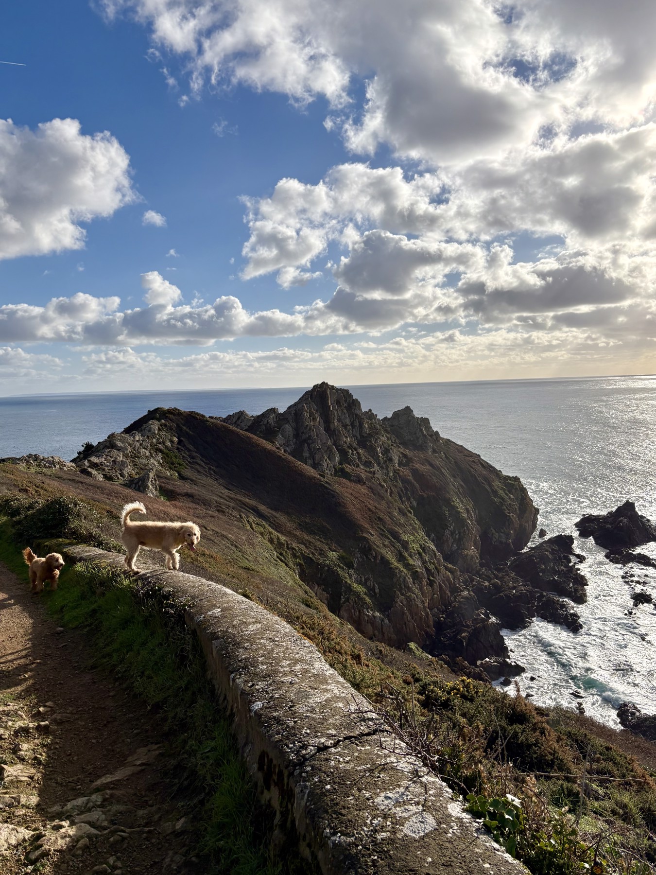 Guernsey Weather Fox forecast for 2025-12-24 - brought to you by Seeker ...