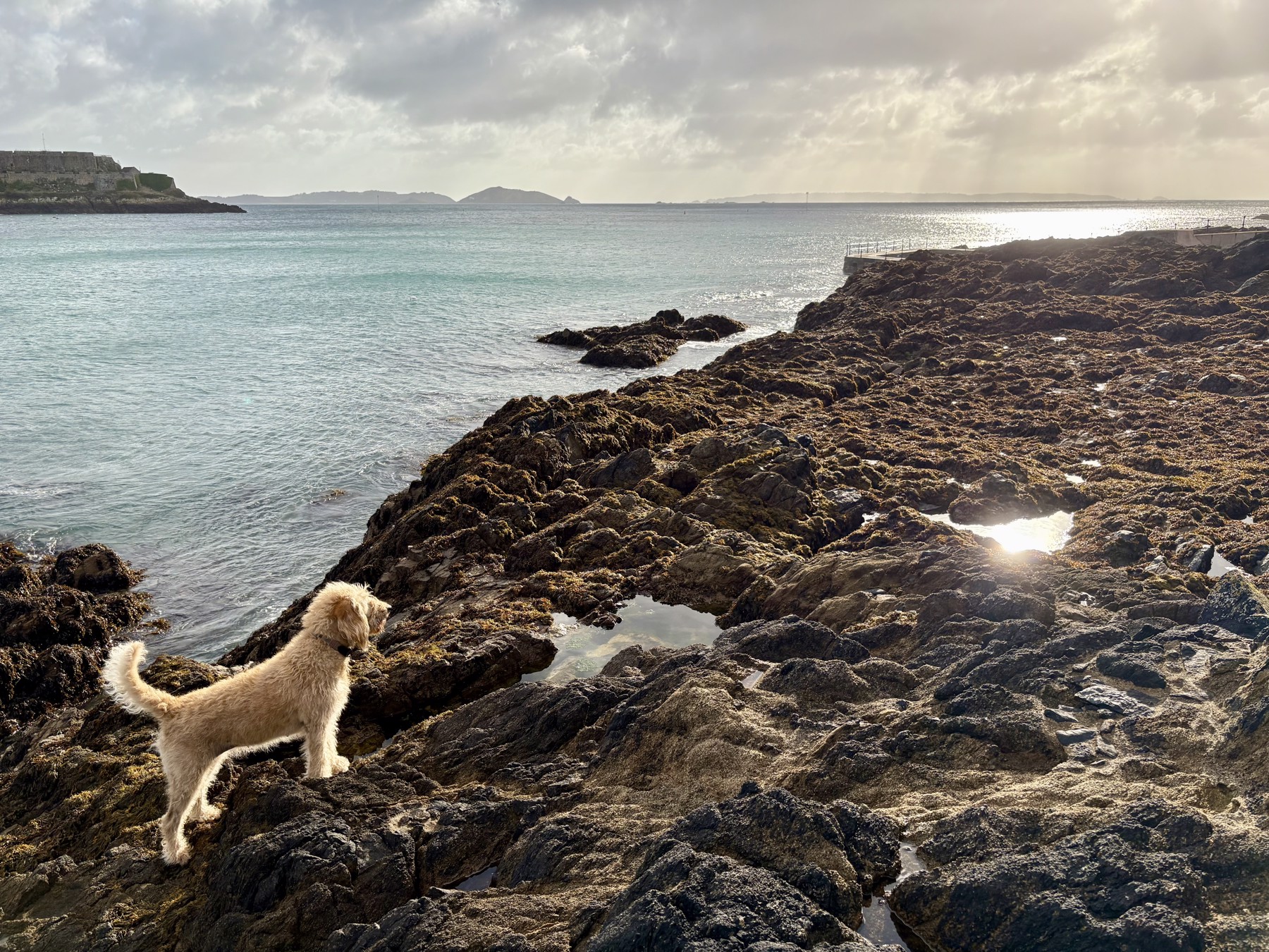 Guernsey Weather Fox forecast for 2025-10-02 - brought to you by Seeker ...