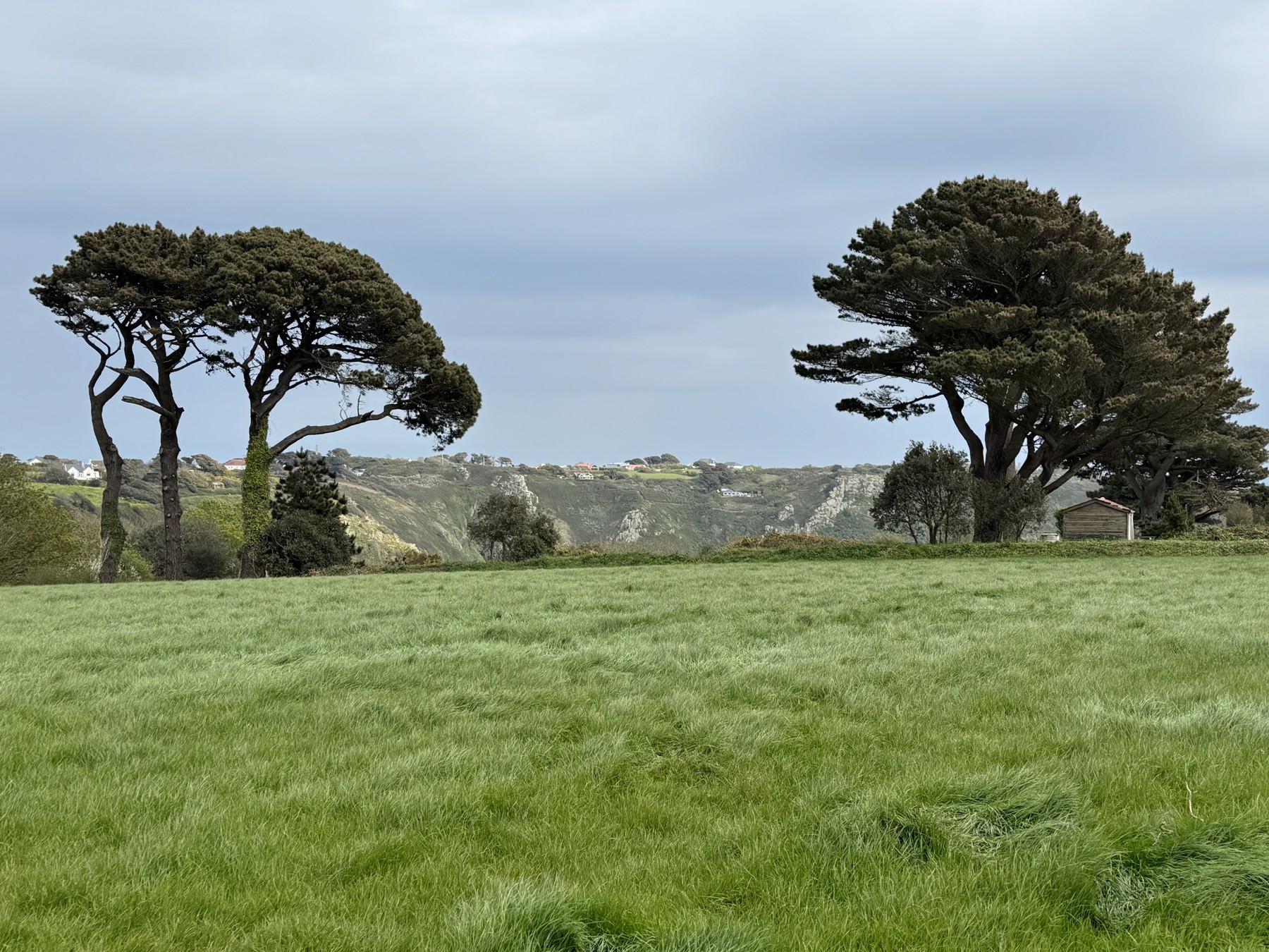 Guernsey Weather Fox forecast for 2025-01-16 - brought to you by Seeker ...