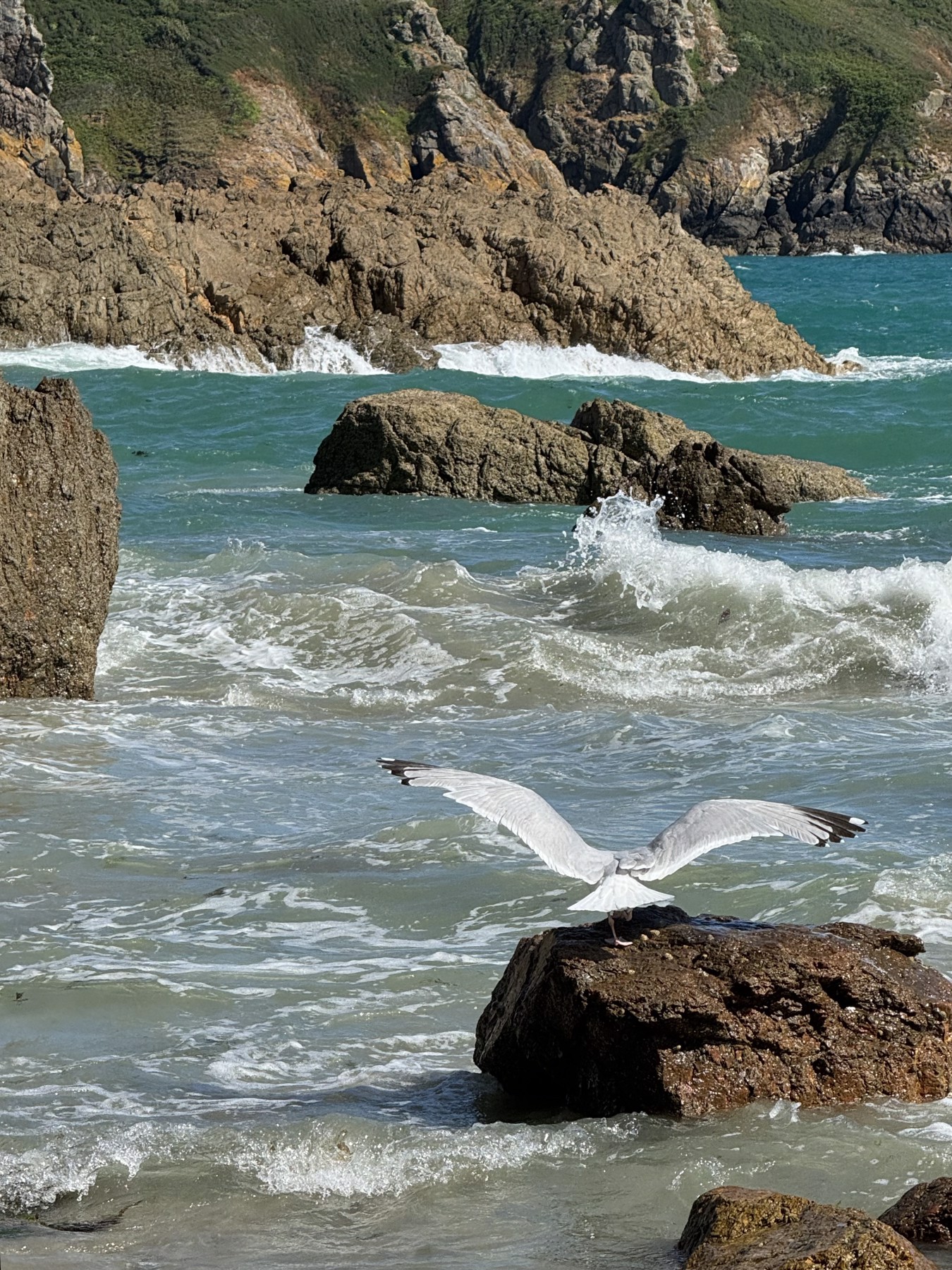 Guernsey Weather Fox forecast for 2024-08-08 - brought to you by Seeker ...