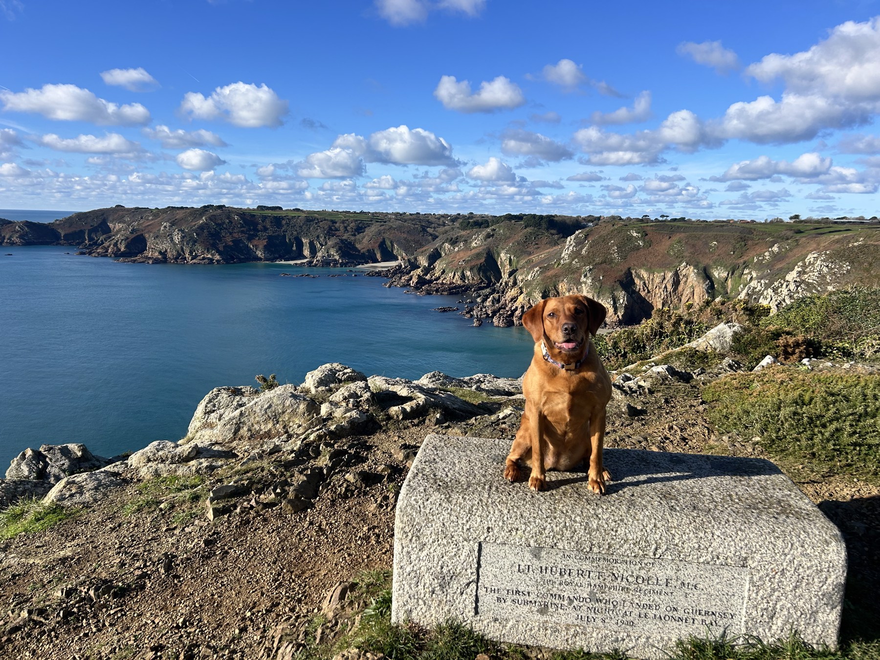 Guernsey Weather Fox forecast for 2025-11-24 - brought to you by Seeker ...