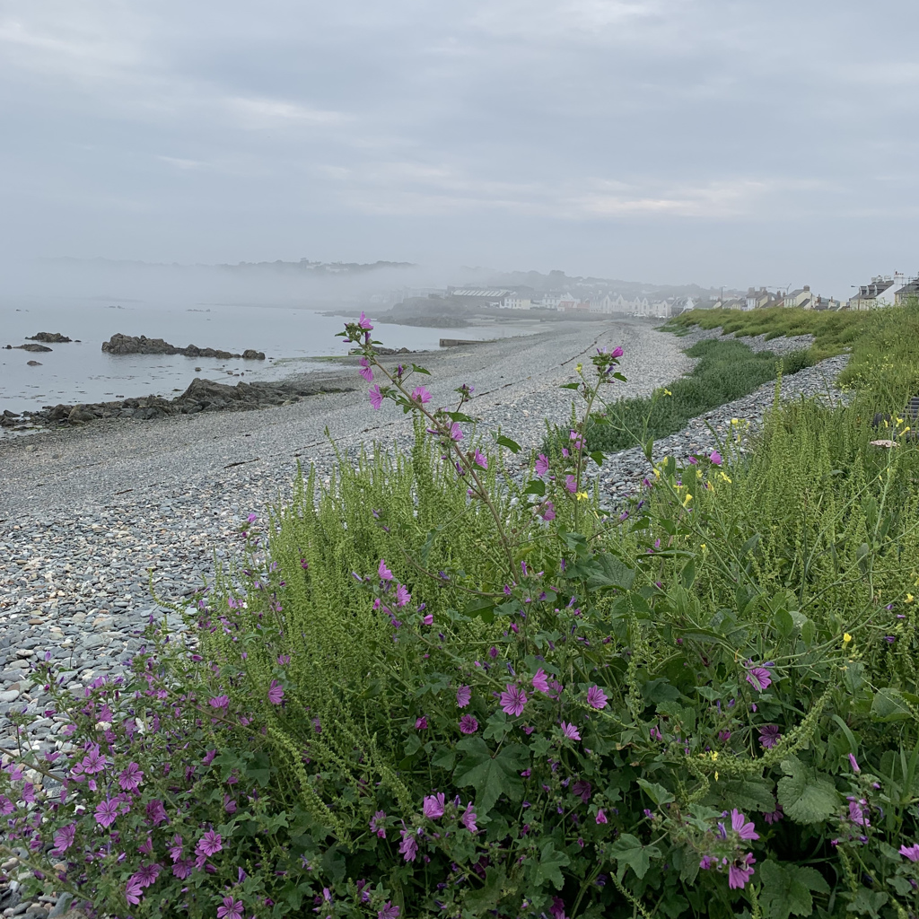 Guernsey Weather Fox forecast for 2021-07-04 - brought to you by Seeker ...