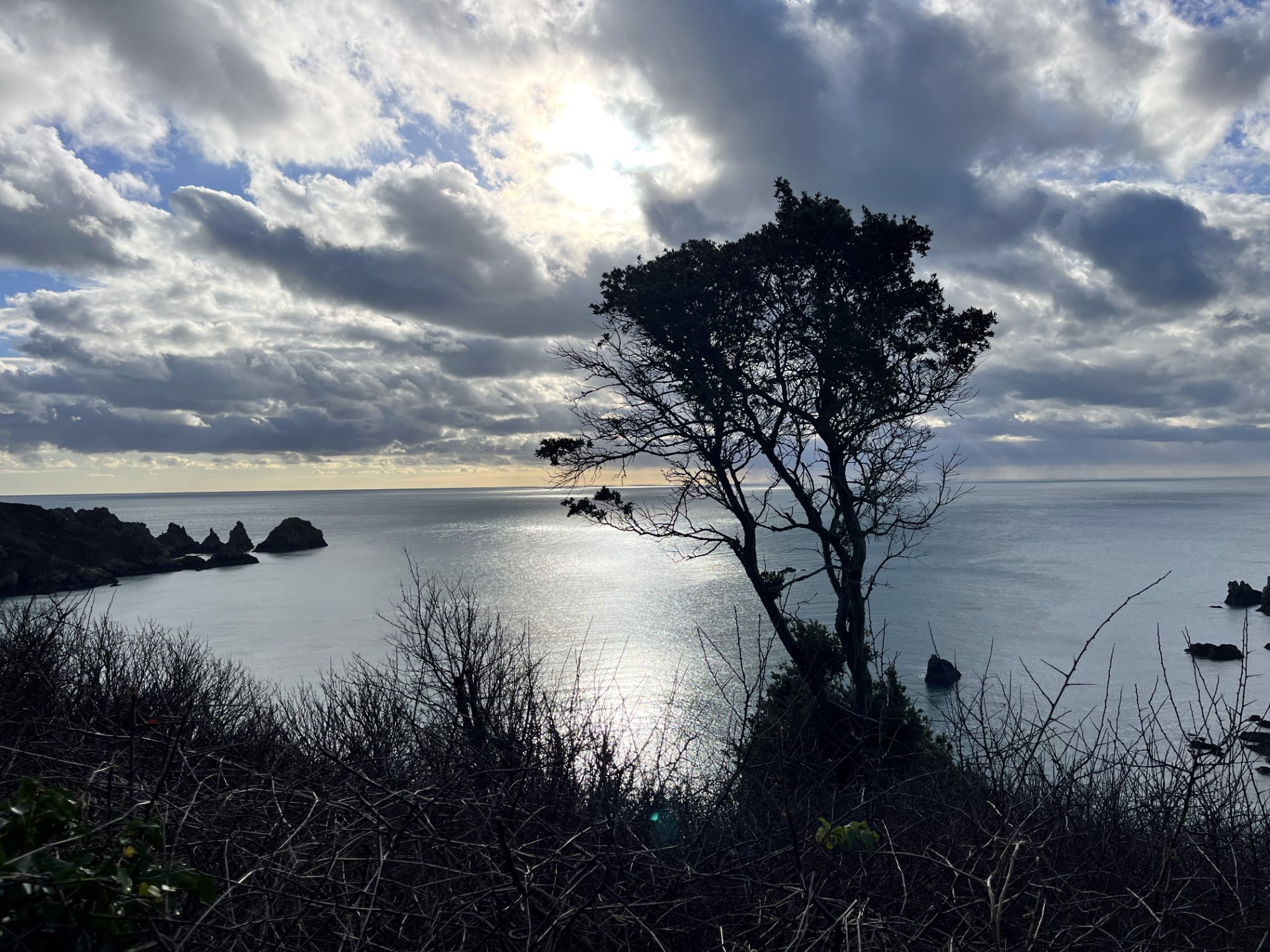 Guernsey Weather Fox forecast for 2024-01-24 - brought to you by Seeker ...