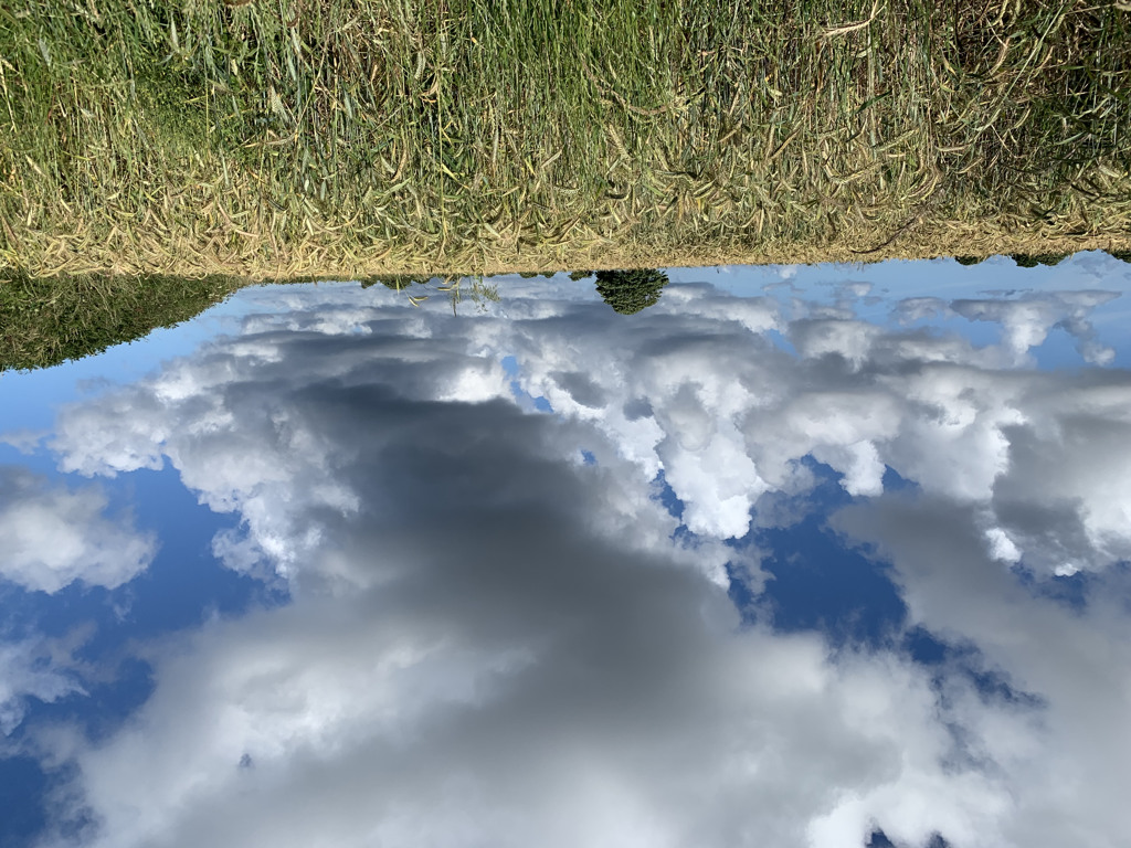 Guernsey Weather Fox forecast for 2022-07-02 - brought to you by Seeker ...