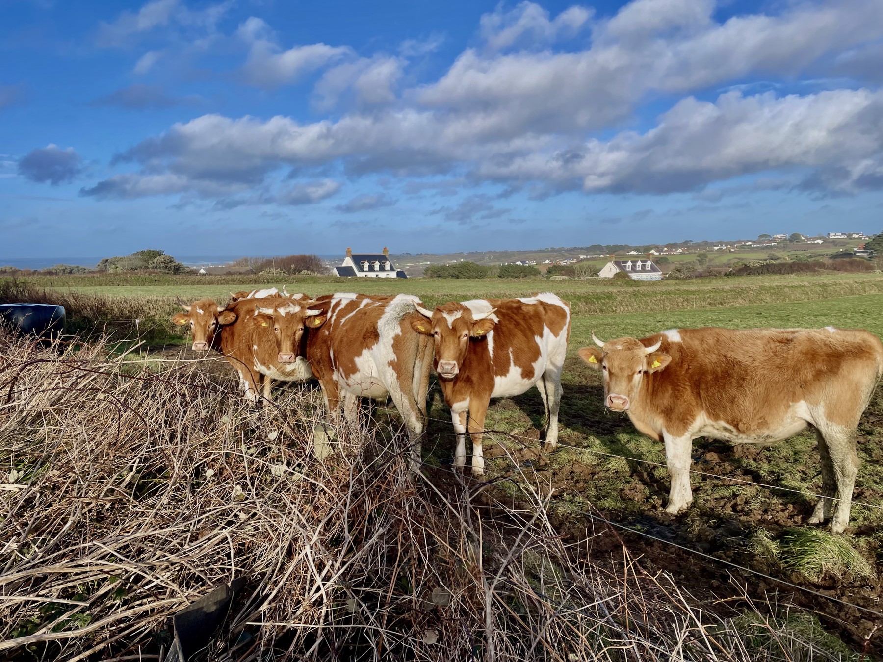 Guernsey Weather Fox forecast for 2025-11-30 - brought to you by Seeker ...