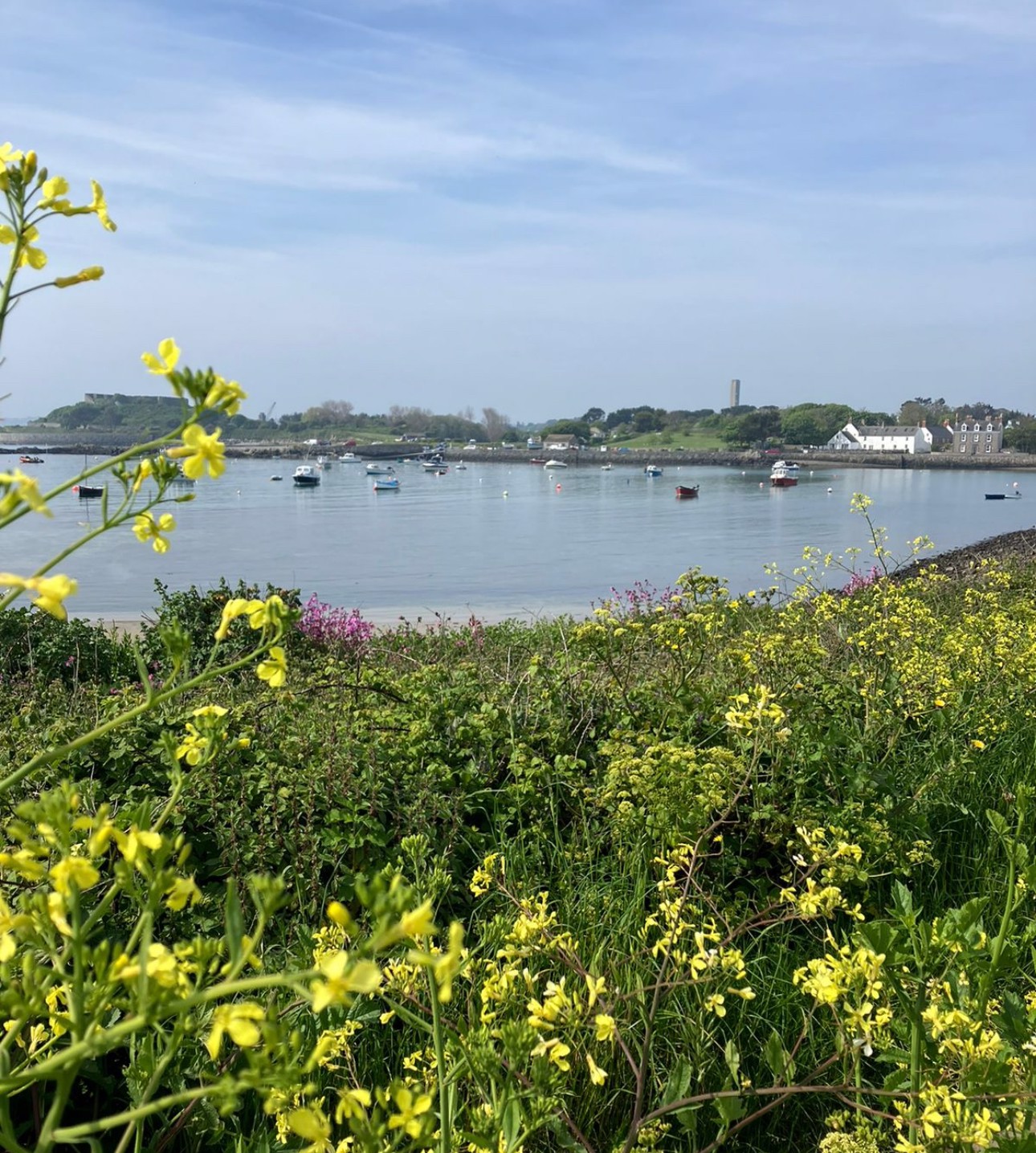 Guernsey Weather Fox forecast for 2024-05-11 - brought to you by Seeker ...