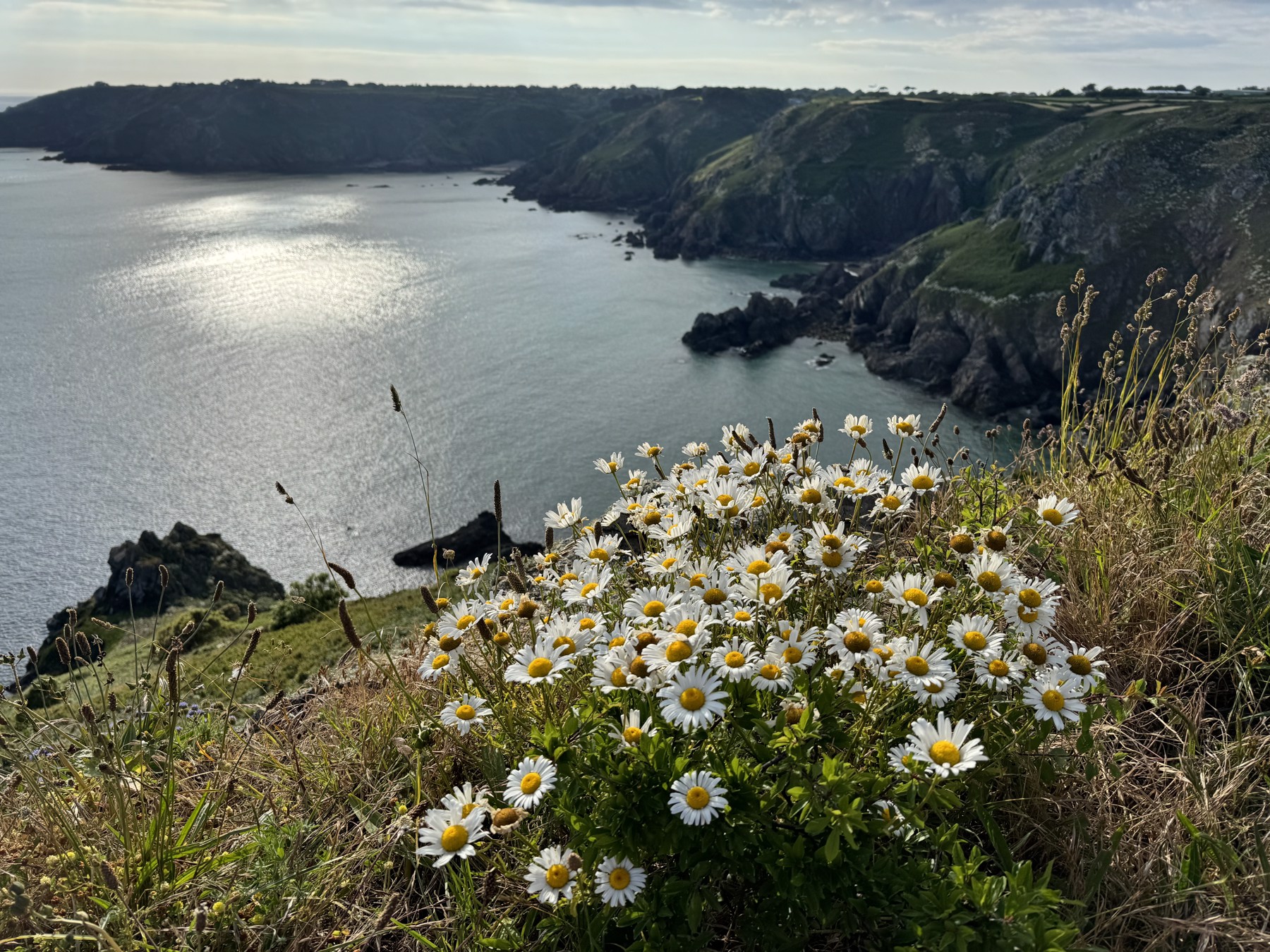 Guernsey Weather Fox forecast for 2024-06-02 - brought to you by Seeker ...