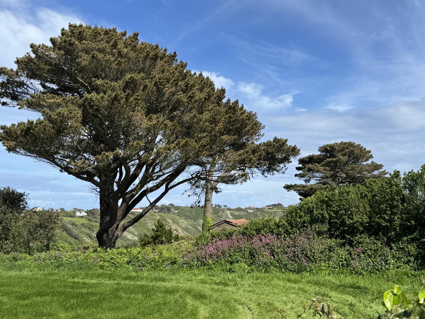 Guernsey Weather Fox forecast for 2025-05-02 - brought to you by Seeker ...