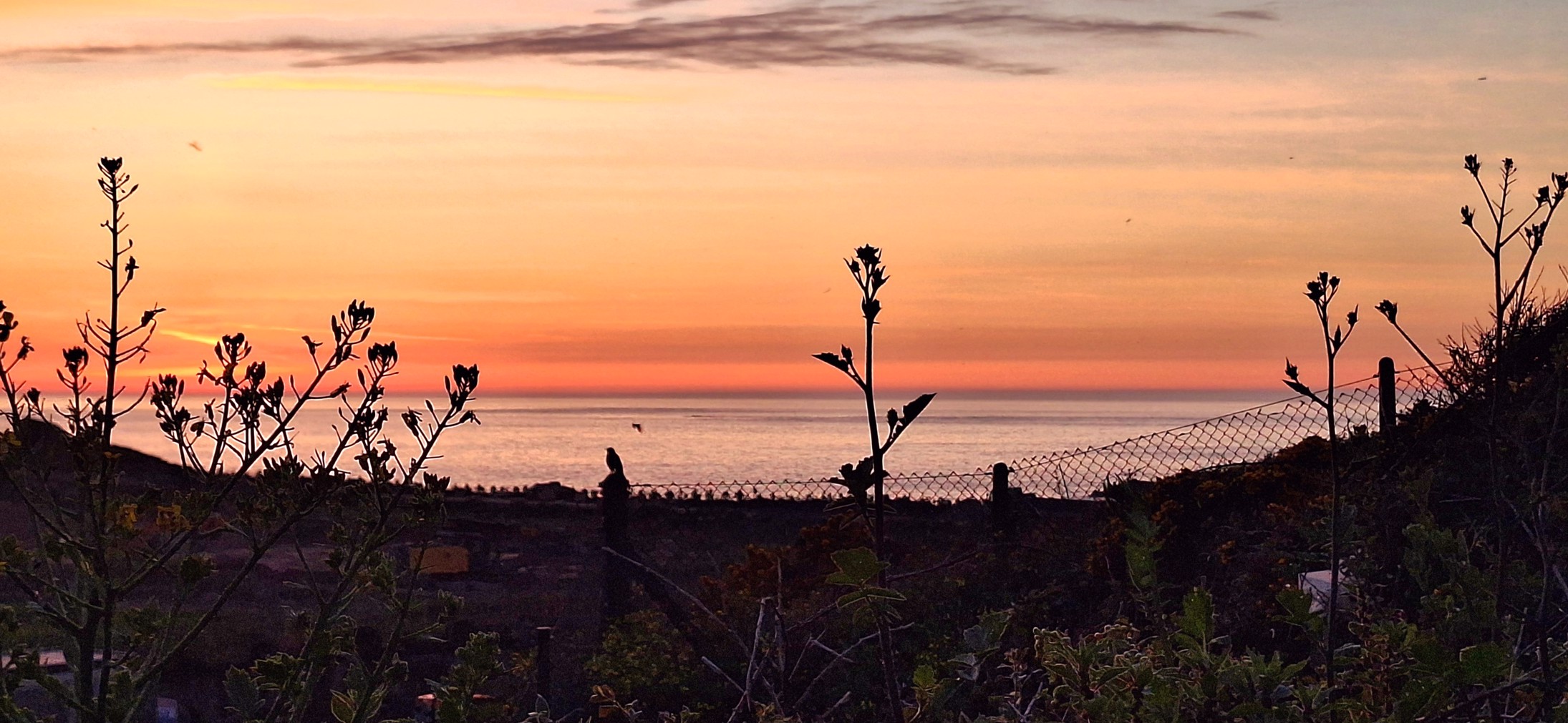 Guernsey Weather Fox forecast for 2025-06-01 - brought to you by Seeker ...