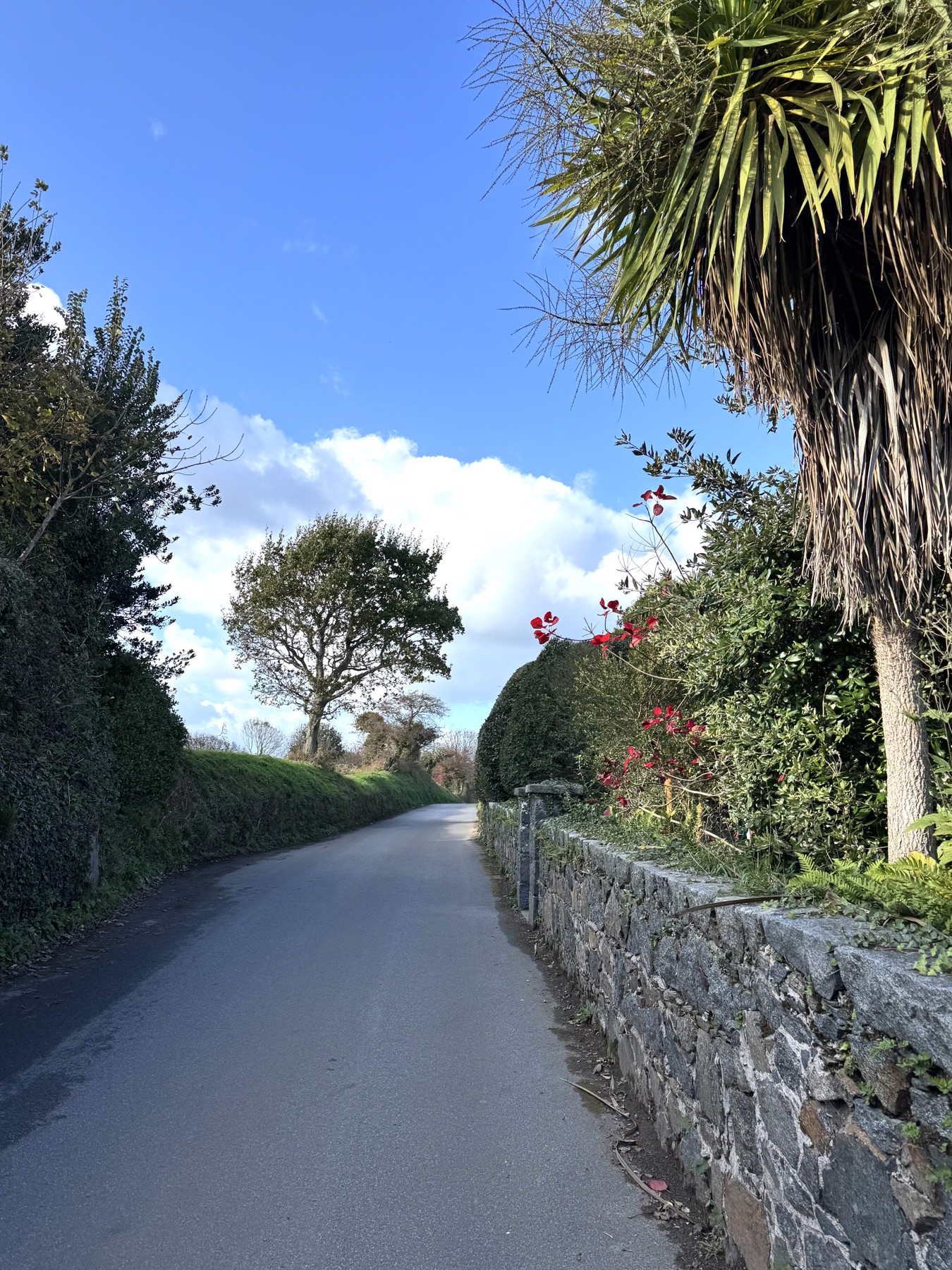 Guernsey Weather Fox forecast for 2025-10-27 - brought to you by Seeker ...